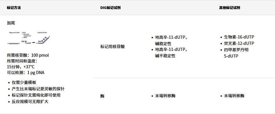 Digoxin (DIG) labeling method - iNEWS