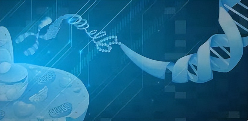 Human cheating genes revealed, do you have this hidden cheating gene? - iMedia