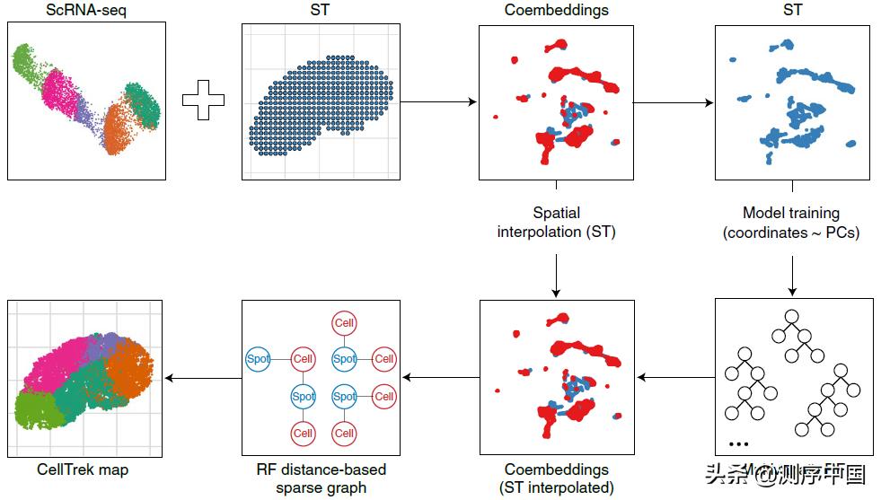 CellTrek, reconstructing spatial maps of tissues at single-cell ...