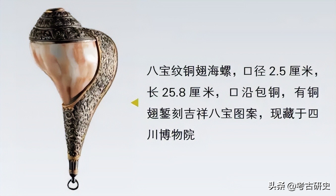 Chen Chen: Conch Culture in Ancient China - iNEWS