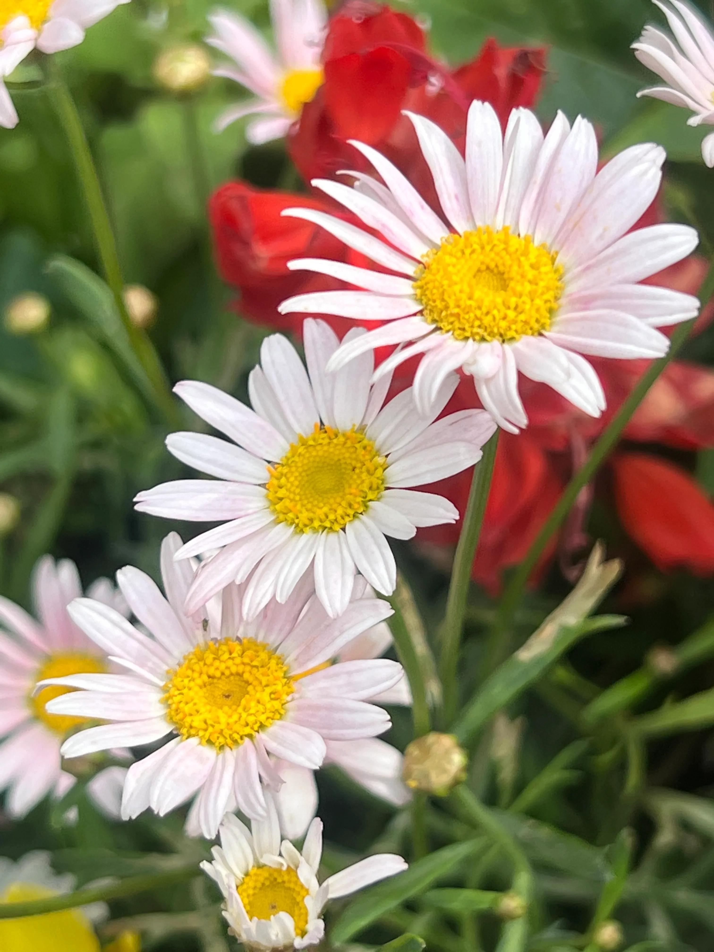 Online dating, be careful. It's hot today, keep running - iMedia