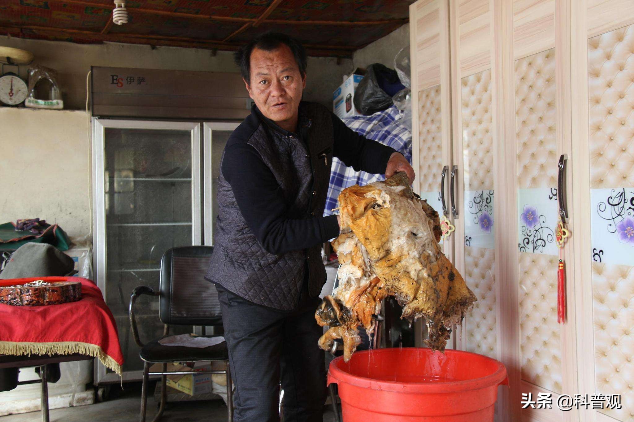 What exactly is Tai Sui?It looks like a lump of "rotten meat", why can ...