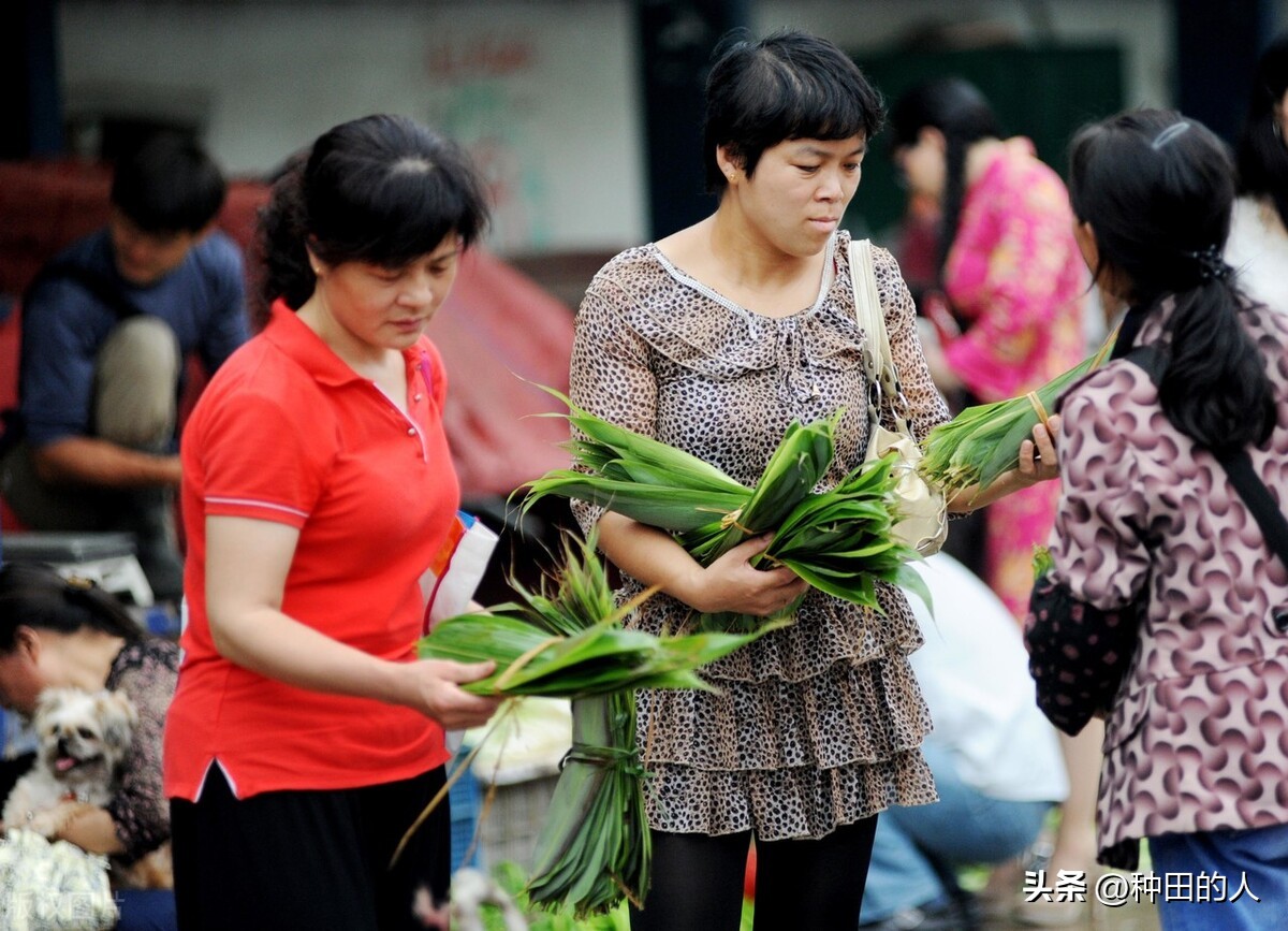 Remember the Dragon Boat Festival: "Black Rabbit Double Spring Year ...