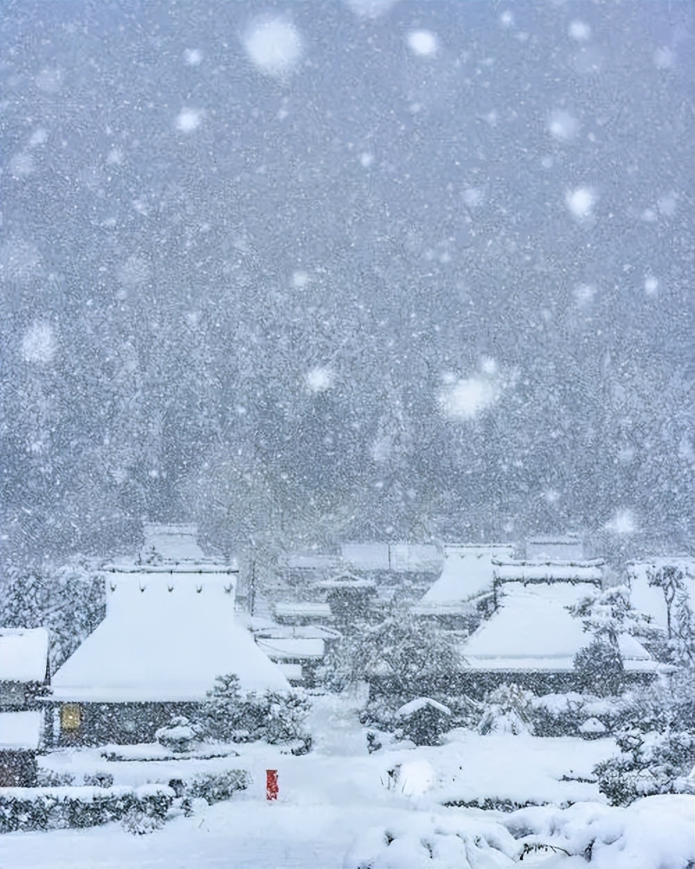 Interpretation of Luxue Guanglian Poetry Series 38——Detailed ...