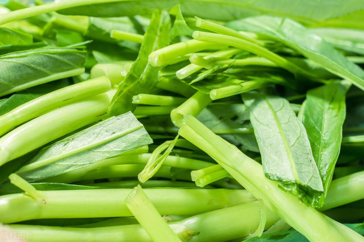 The benefits, purchasing skills and cooking methods of eating water ...