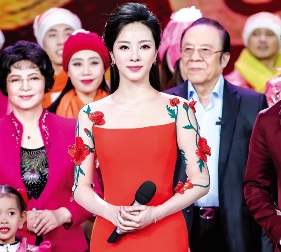 CCTV host Li Sisi: She gave birth to 2 children in 3 years and gave up ...