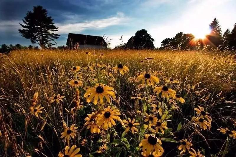 Have you learned the correct posture for wide-angle landscape ...