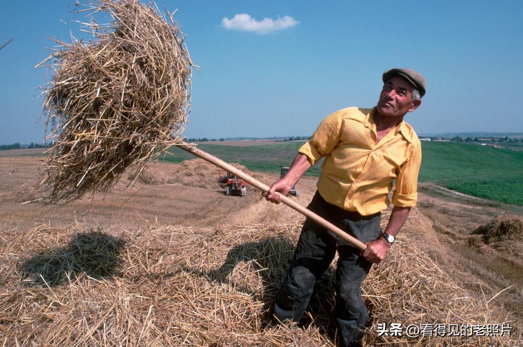 Old photo 1991 Ukrainian farmer working hard on a state farm in Ukraine ...