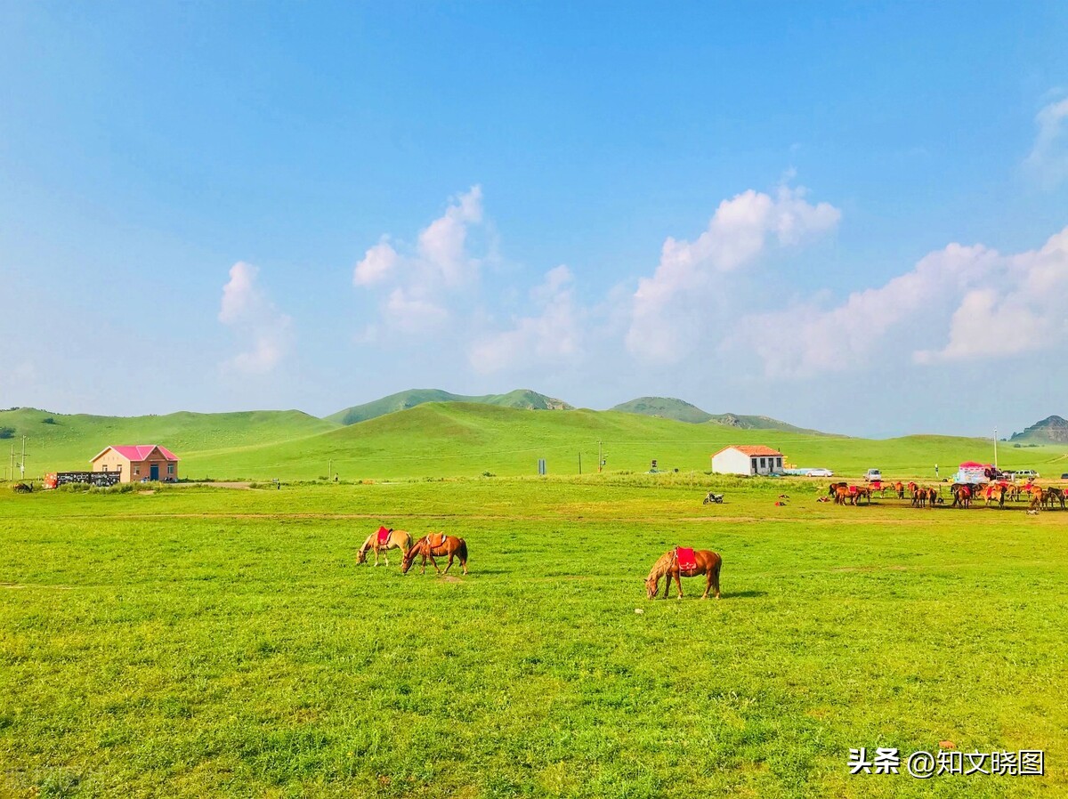 Which is fun, Zhangbei Grassland or Ulan Butong Grassland? The further ...