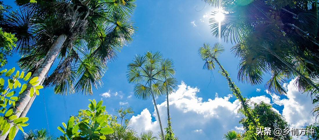 Biodiversity cannot wait another decade - iMedia