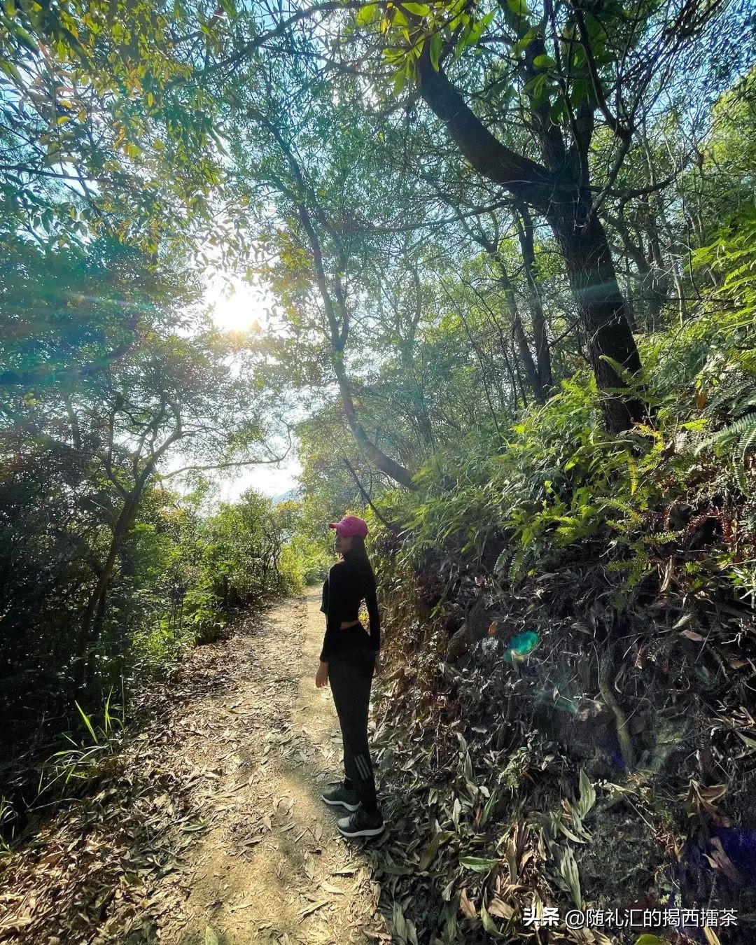 9 actresses from Hong Kong go hiking! Gigi Lai, Tsang Sook Nga, Fung ...