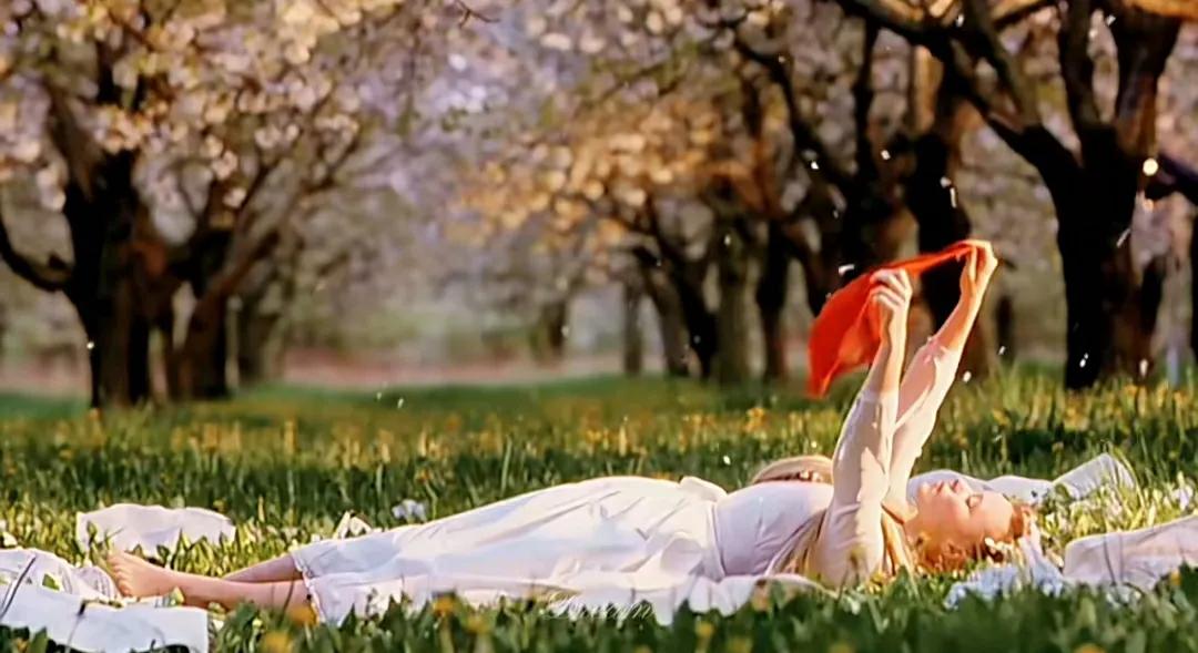 A few unmissable niche films - iNEWS