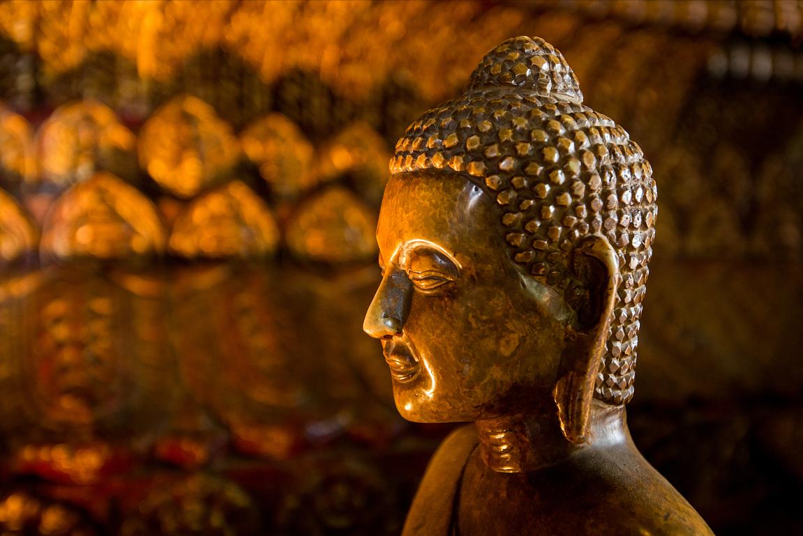 The Wisdom Delivered by the Buddha: Hope in the Dharma-Ending Age - iNEWS
