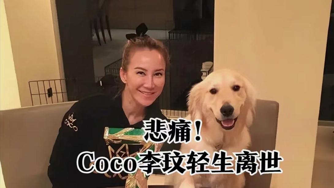 Inside story of Coco Lee's death: It was revealed that she was sick due ...