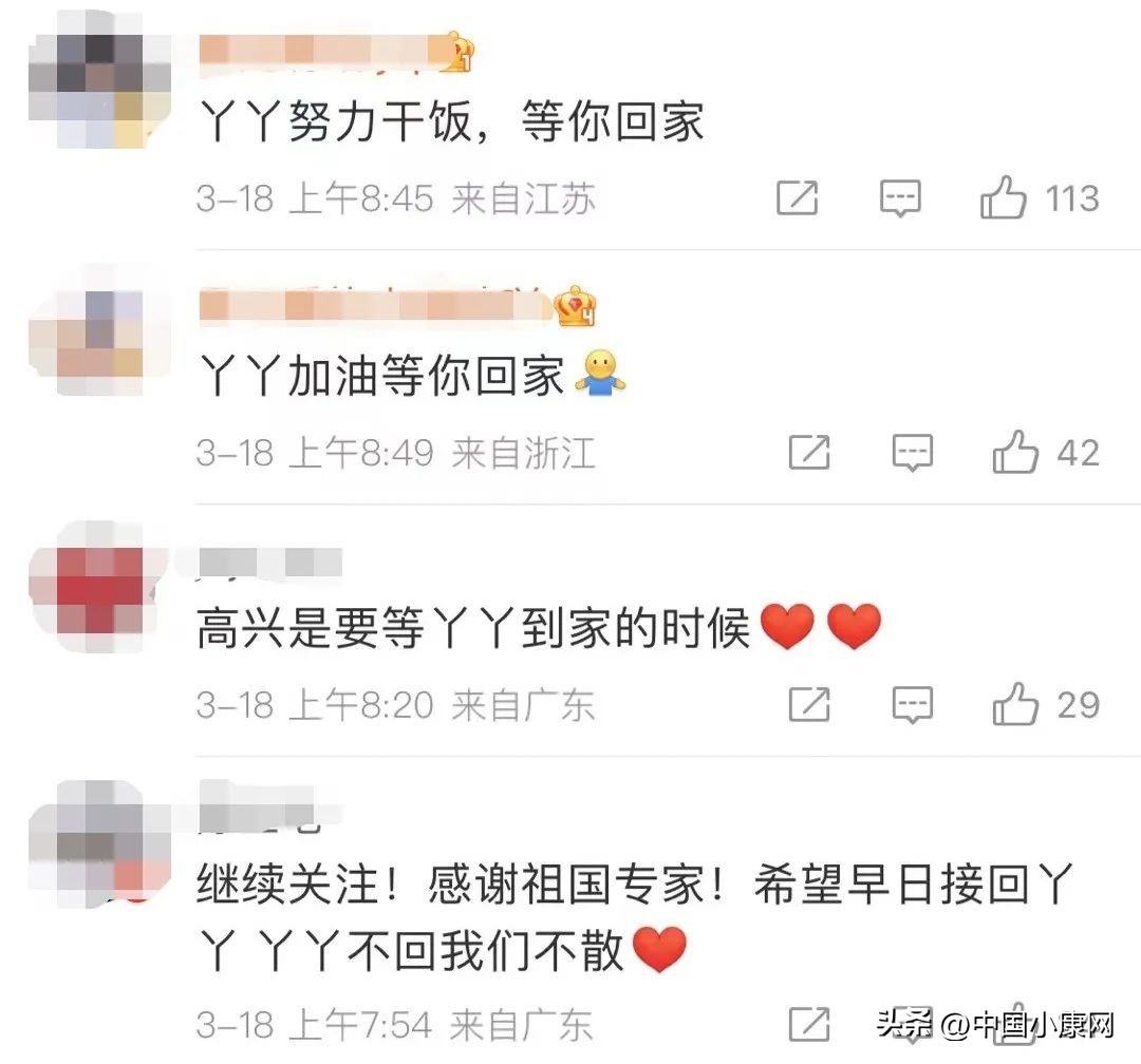 New progress of "Yaya" returning to China: she will go to Shanghai for ...