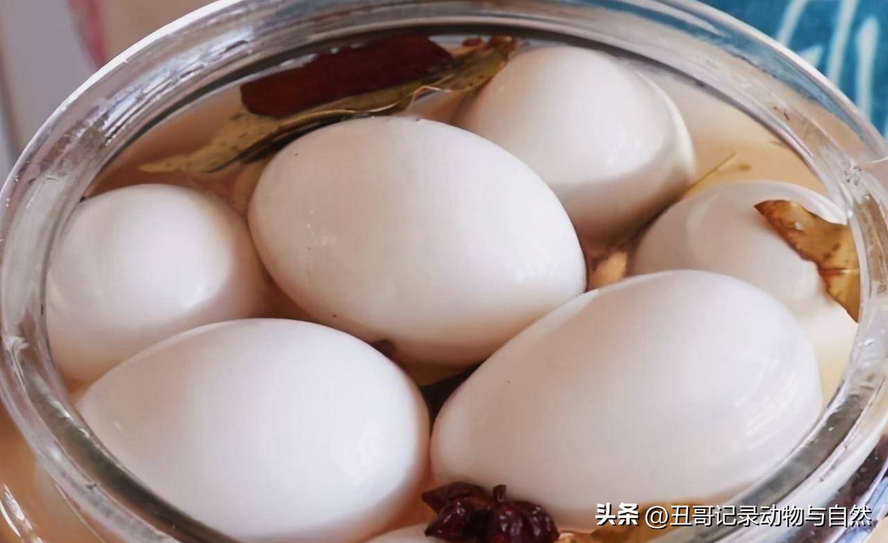 Pickled goose eggs, a few simple steps, all of them are sandy and oily ...