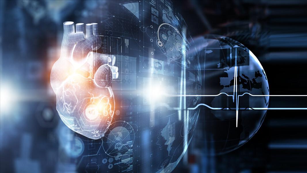 Medical Network: Using Internet + to open a new medical model - iNEWS