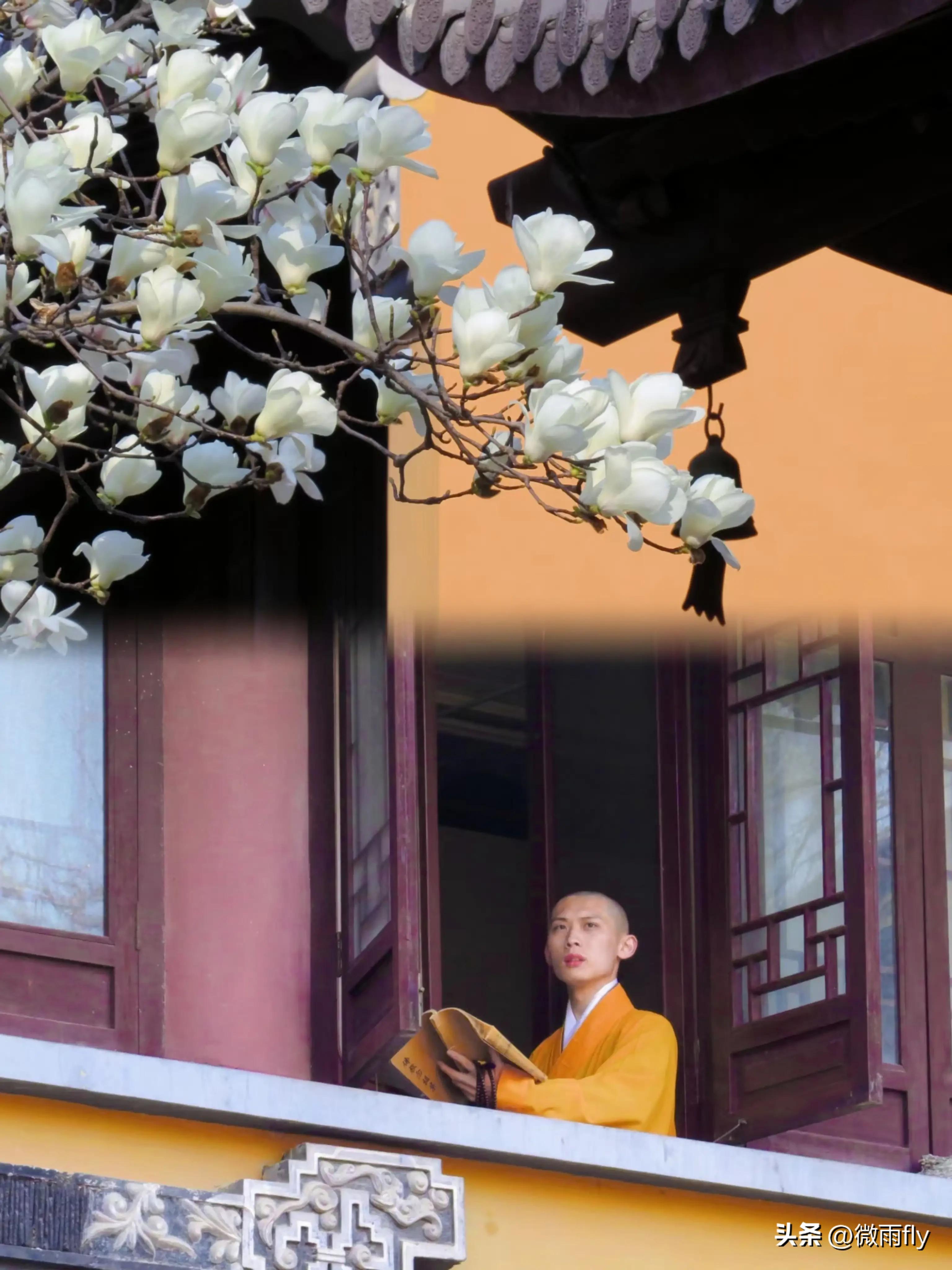 9 most beautiful moments in spring - iNEWS