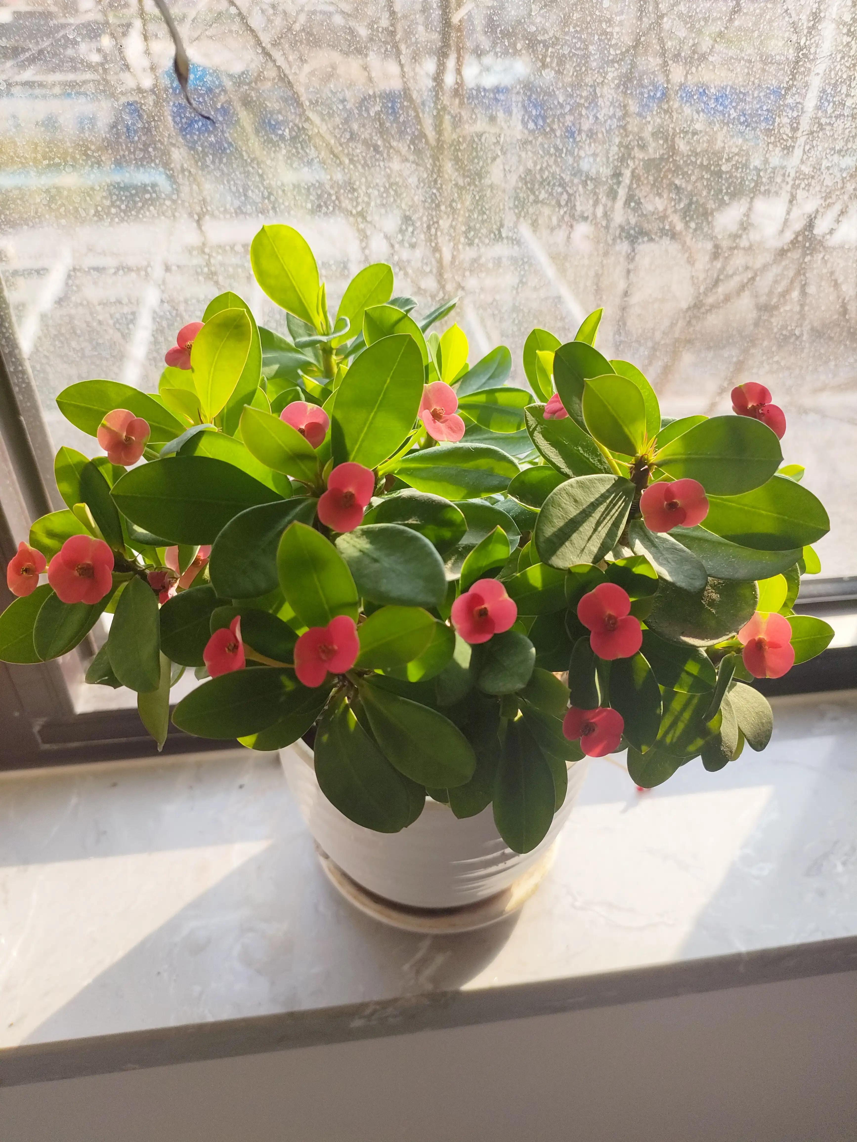 Cecilia Cheung, Yao Chen, Tang Yan - iMedia