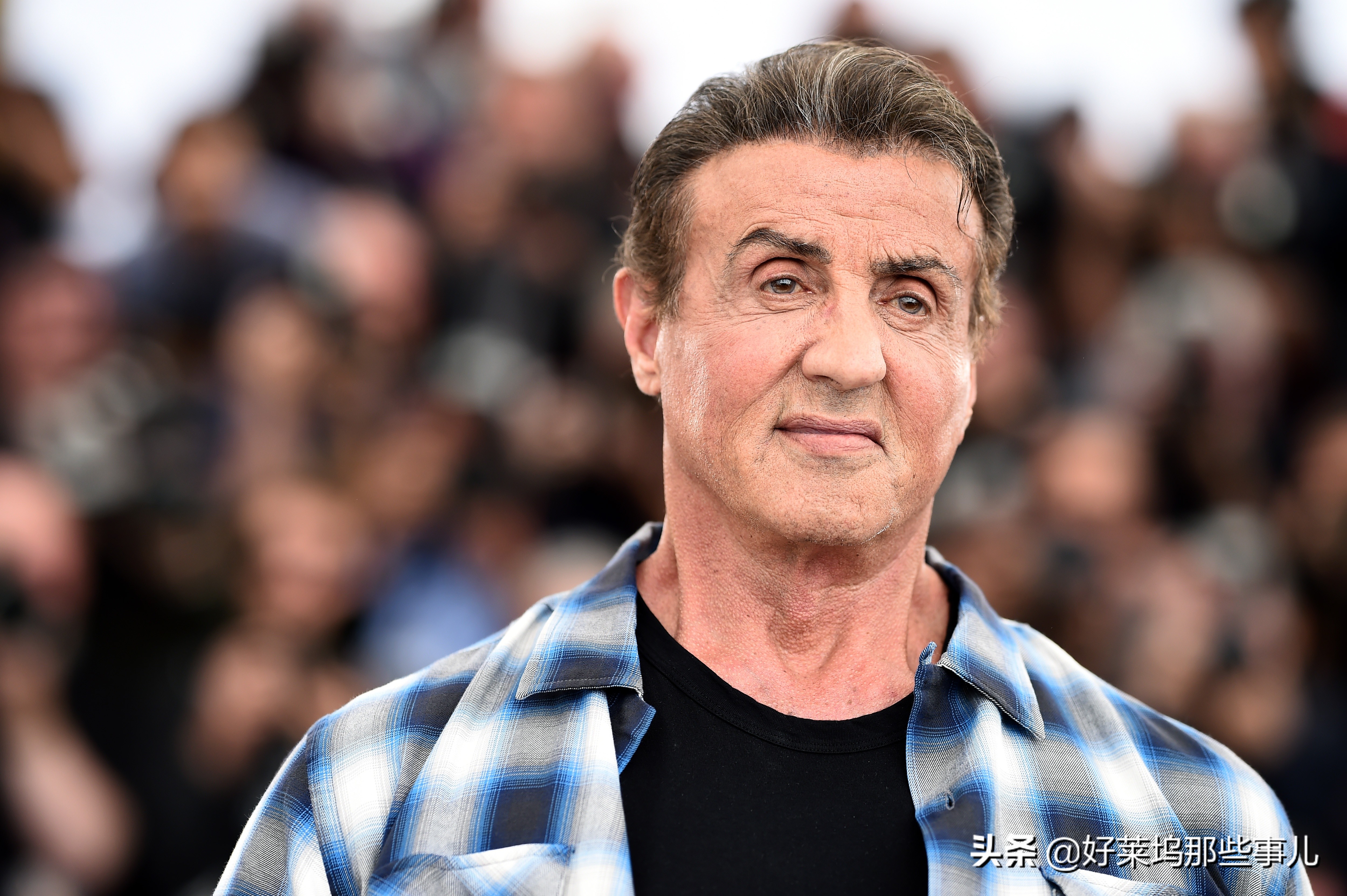 Stallone confirmed to star in "Kansas City" 75-year-old action ...