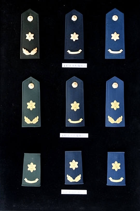 Du Xudong is at the division level, and Li Shuangjiang is at the army ...