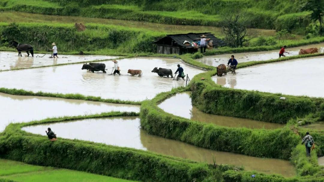 Agrarian civilization and nomadic civilization - iNEWS