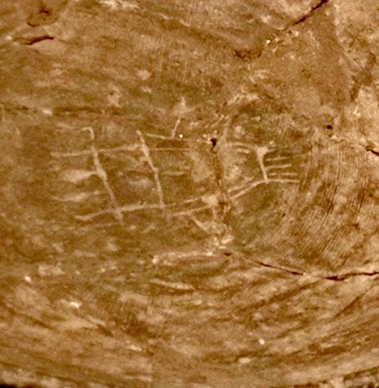 Sea salt, born to the sea - iNEWS