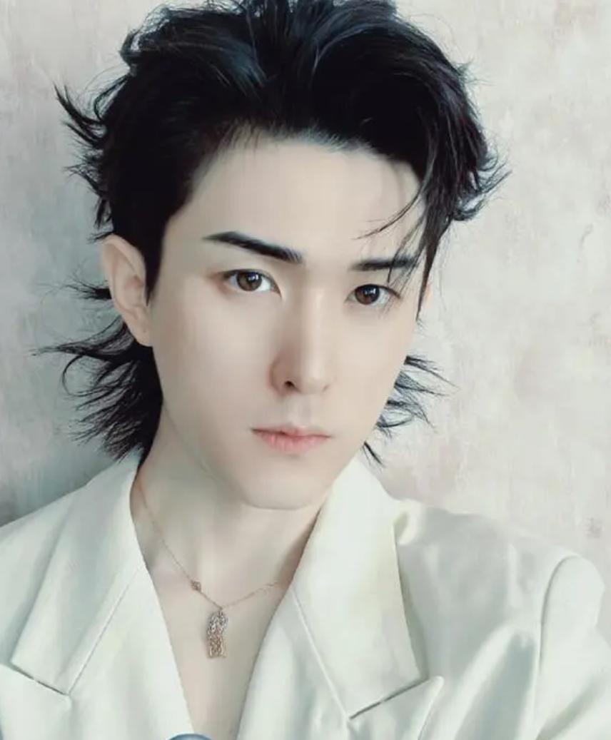 How handsome is Deyun Oiran, the South Korean branch leader of Deyun ...