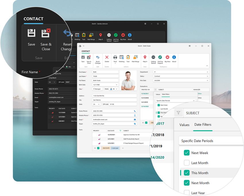 Interface control DevExpress WinForms - new WXI skin grab a "fresh" look - iNEWS
