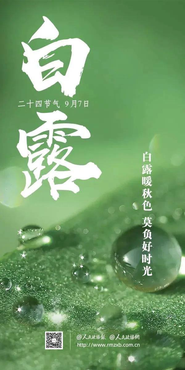 Dew from the white tonight - 24 solar terms of the white dew - iNEWS