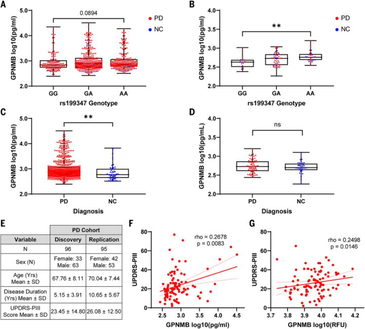 Science: Risk Gene for Parkinson's Disease - GPNMB - iNEWS