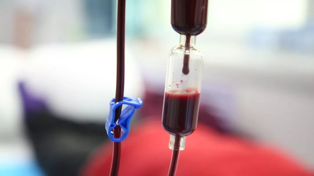 Can blood washing lower cholesterol? - iNEWS