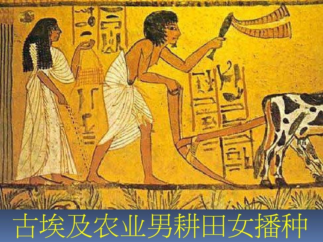 Agriculture and Irrigation Systems in Ancient Egypt and the Nile - iNEWS