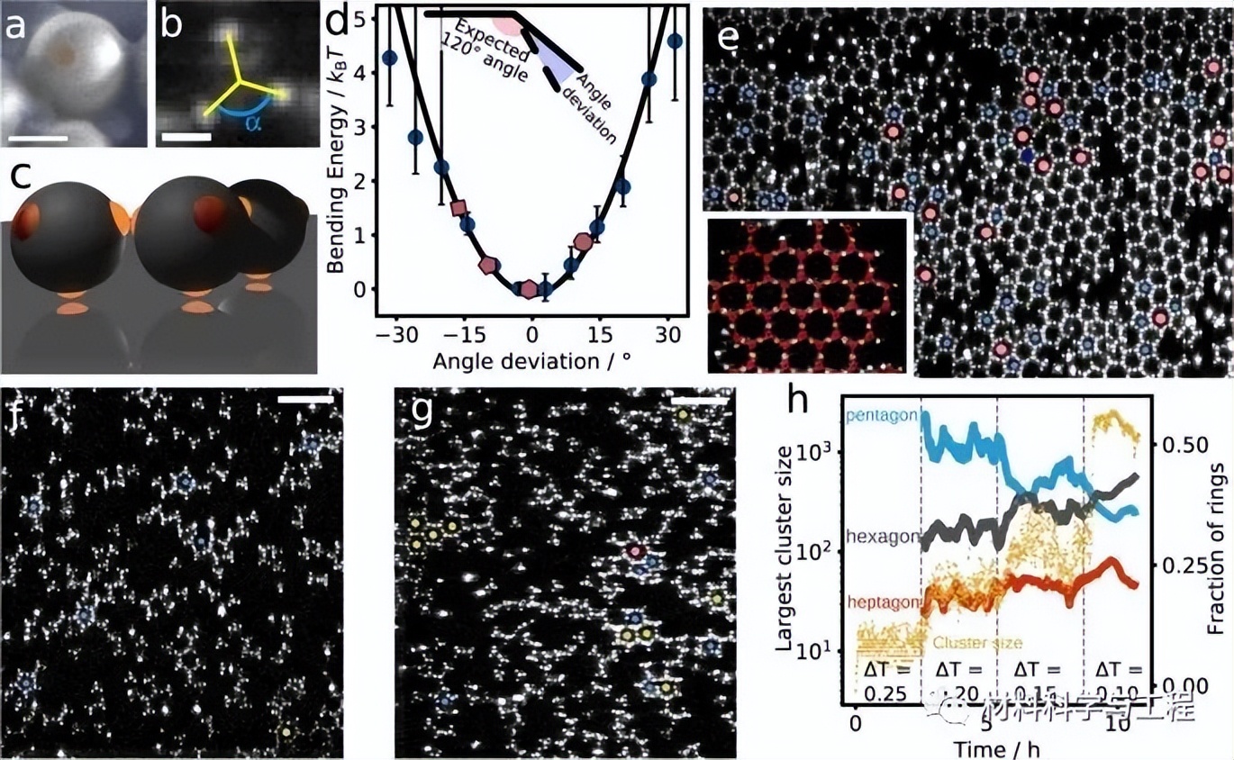"Nature" sub-journal: Assembling colloidal graphene lattices to ...