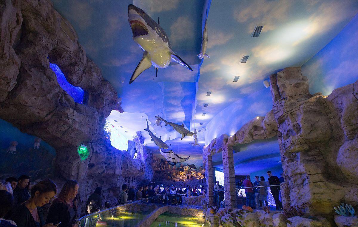 Changzhou Dinosaur Paradise: A Practical Guide to Fun Dinosaur Theme ...