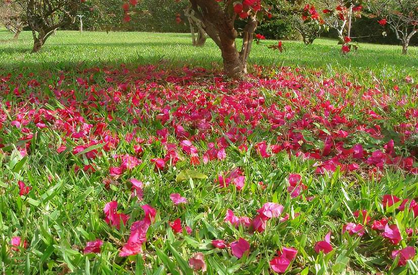 The 8 most helpless words in history, each word is full of helplessness ...