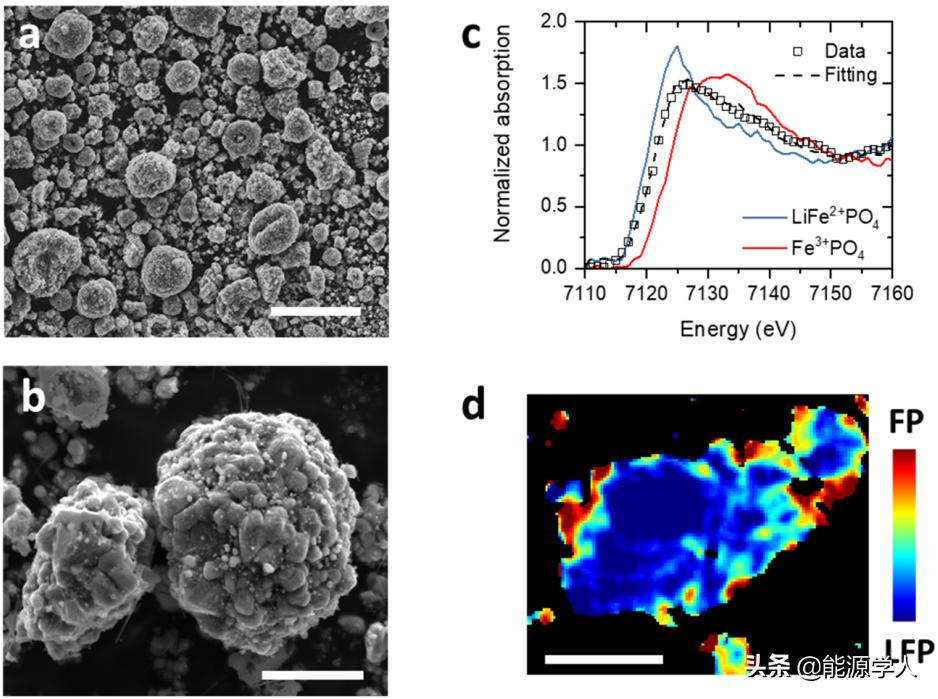 The role of reaction heterogeneity and intercalation-induced stress in ...