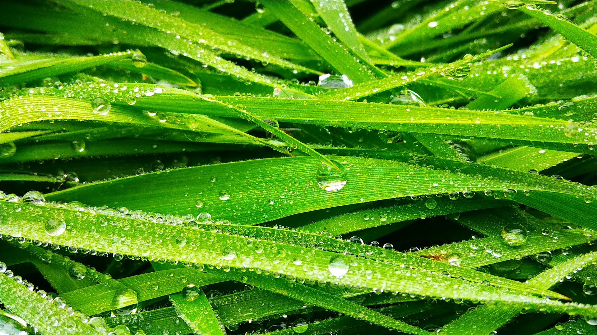 Why do Coke bottles sweat? - iNEWS