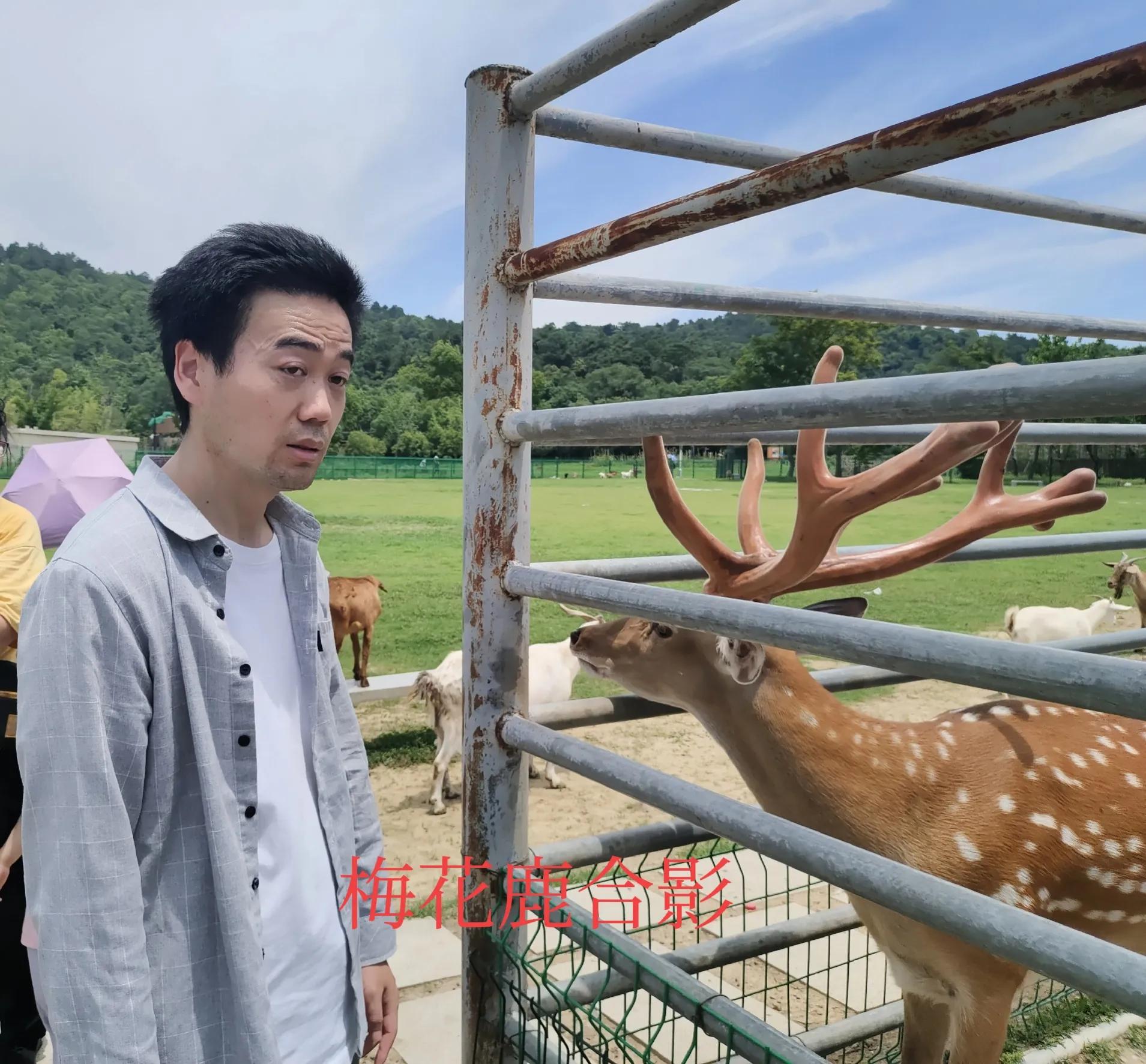 Suzhou Shangfangshan Forest Animal World - iMedia