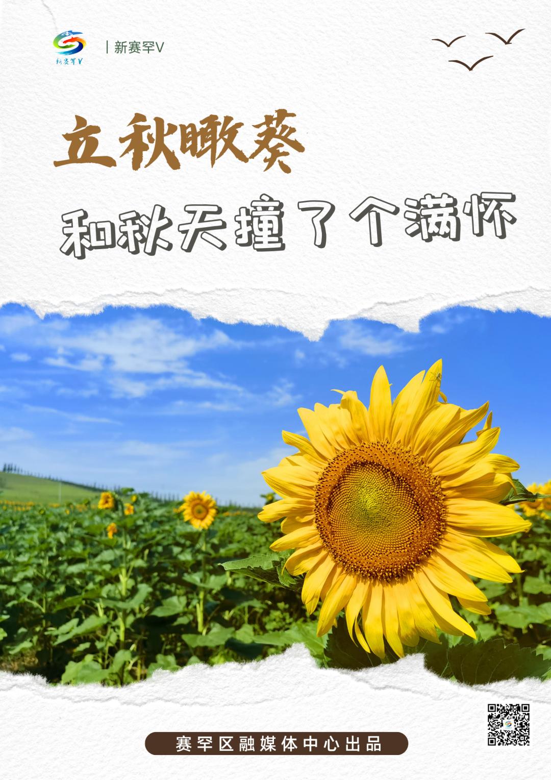 Competition poster - iMedia
