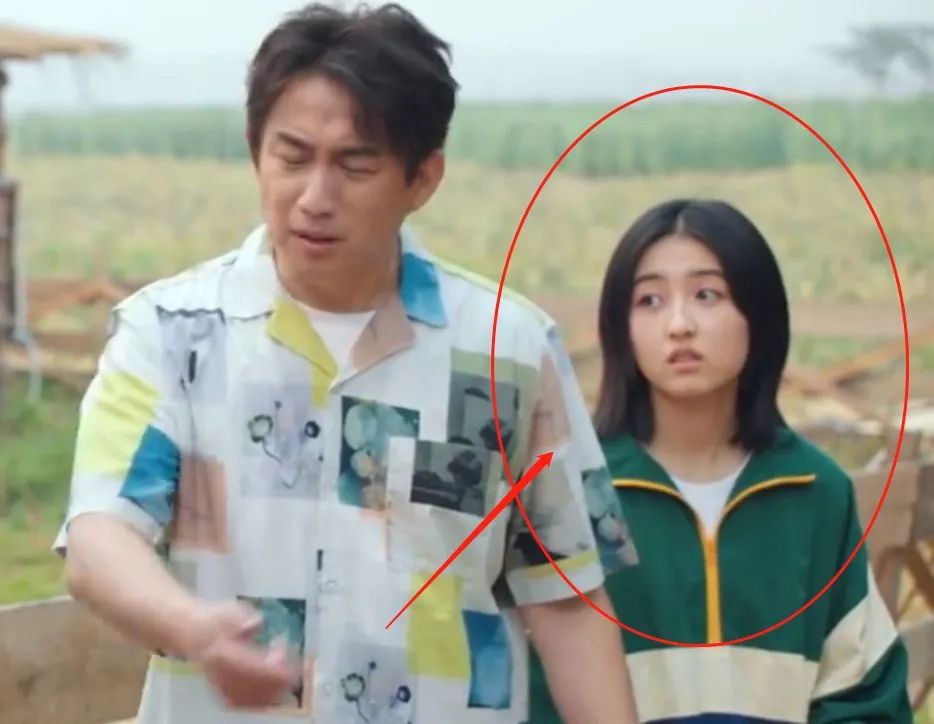 Zhang Zifeng's new relationship was "dissuaded" by the whole network ...
