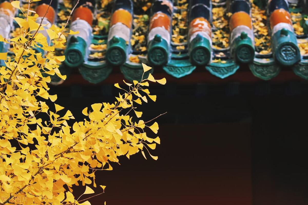 Master Hongyi said: Don't be afraid of harm, what can harm you is your ...