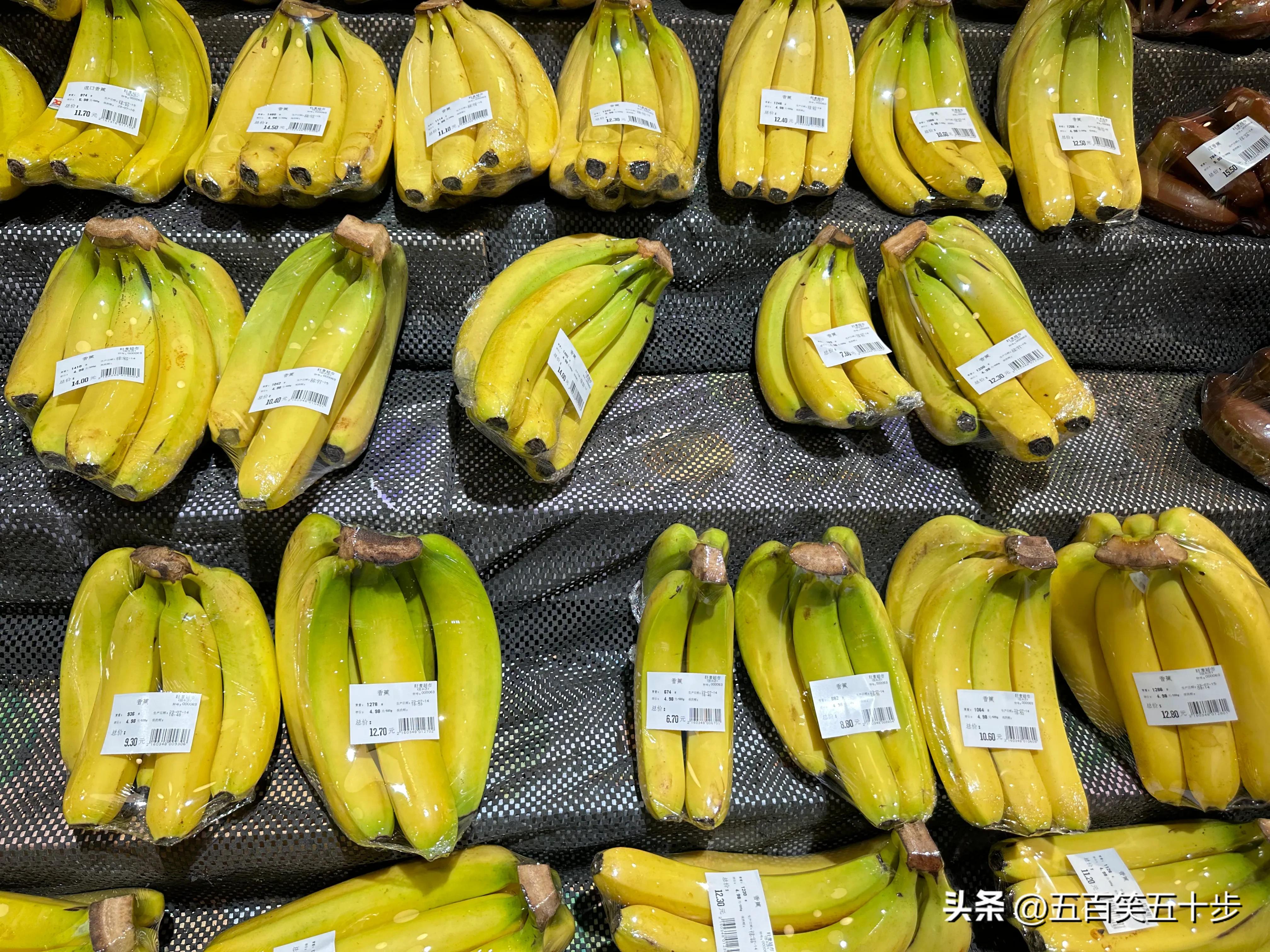 Singer Dolan is different from those so-called musicians. I don't know ...