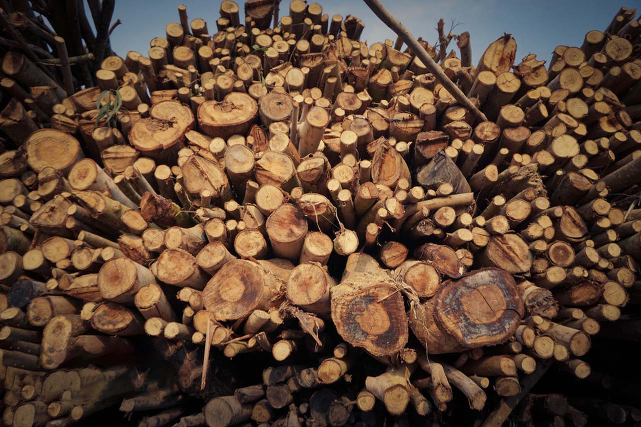 Don't underestimate this traditional Chinese medicine, it is all about ...