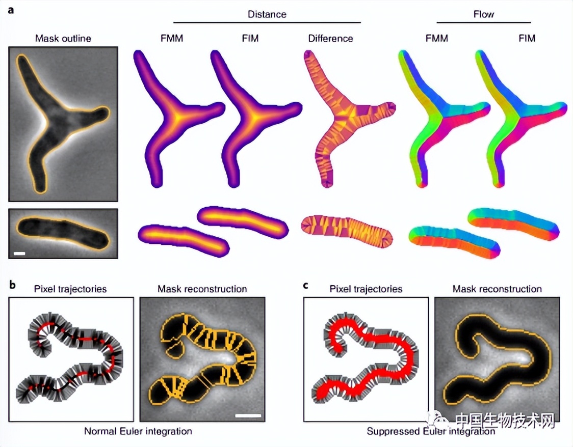 Nature sub-journal: Deep learning algorithm can identify various ...