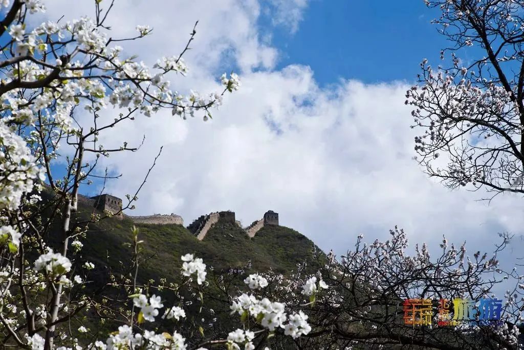 Another train bound for spring is here!The S5 Huaimi Line connects the ...