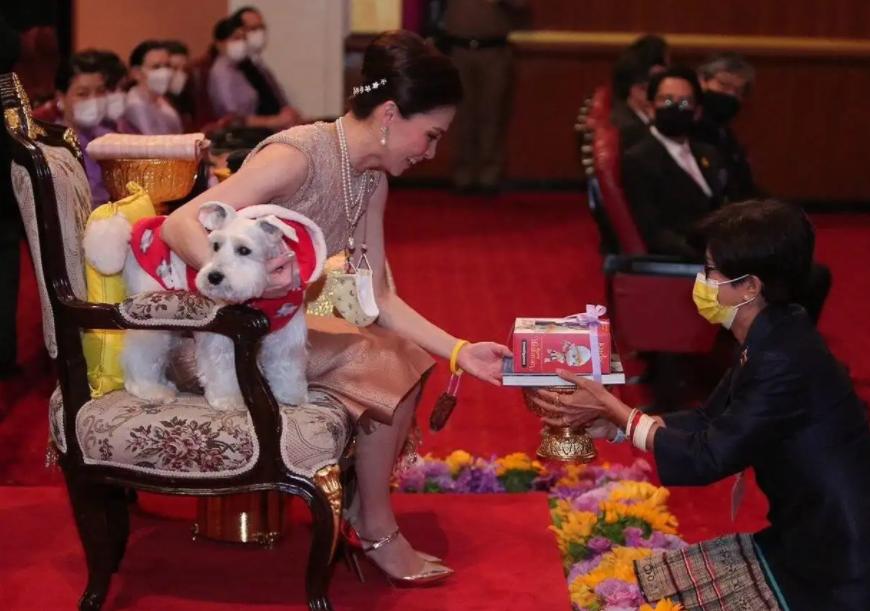 Sinina sang for public welfare and tried to regain favor, meticulously ...