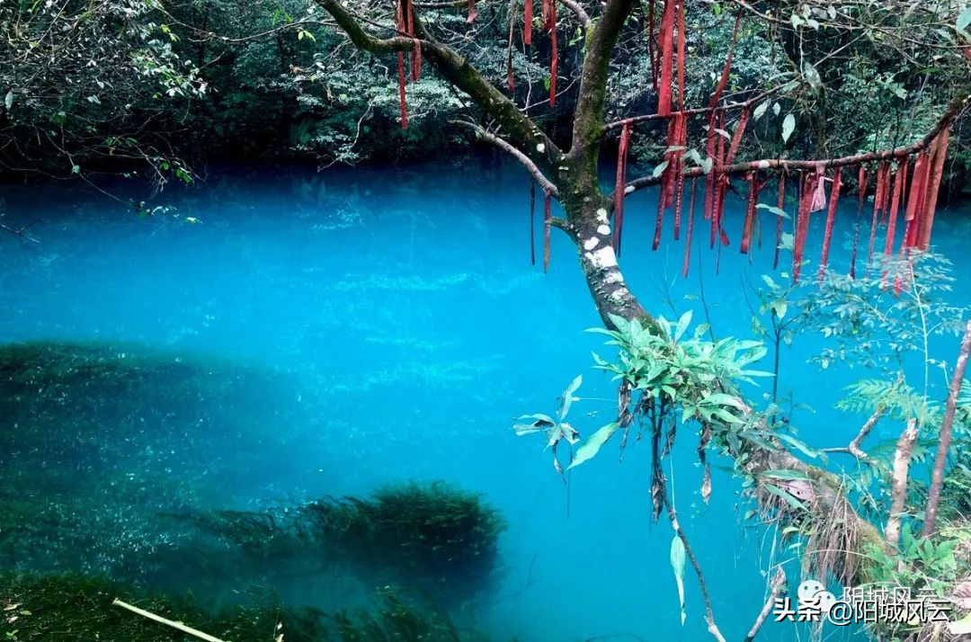 Wu Xianbao: Wonderful Lingtan - iNEWS