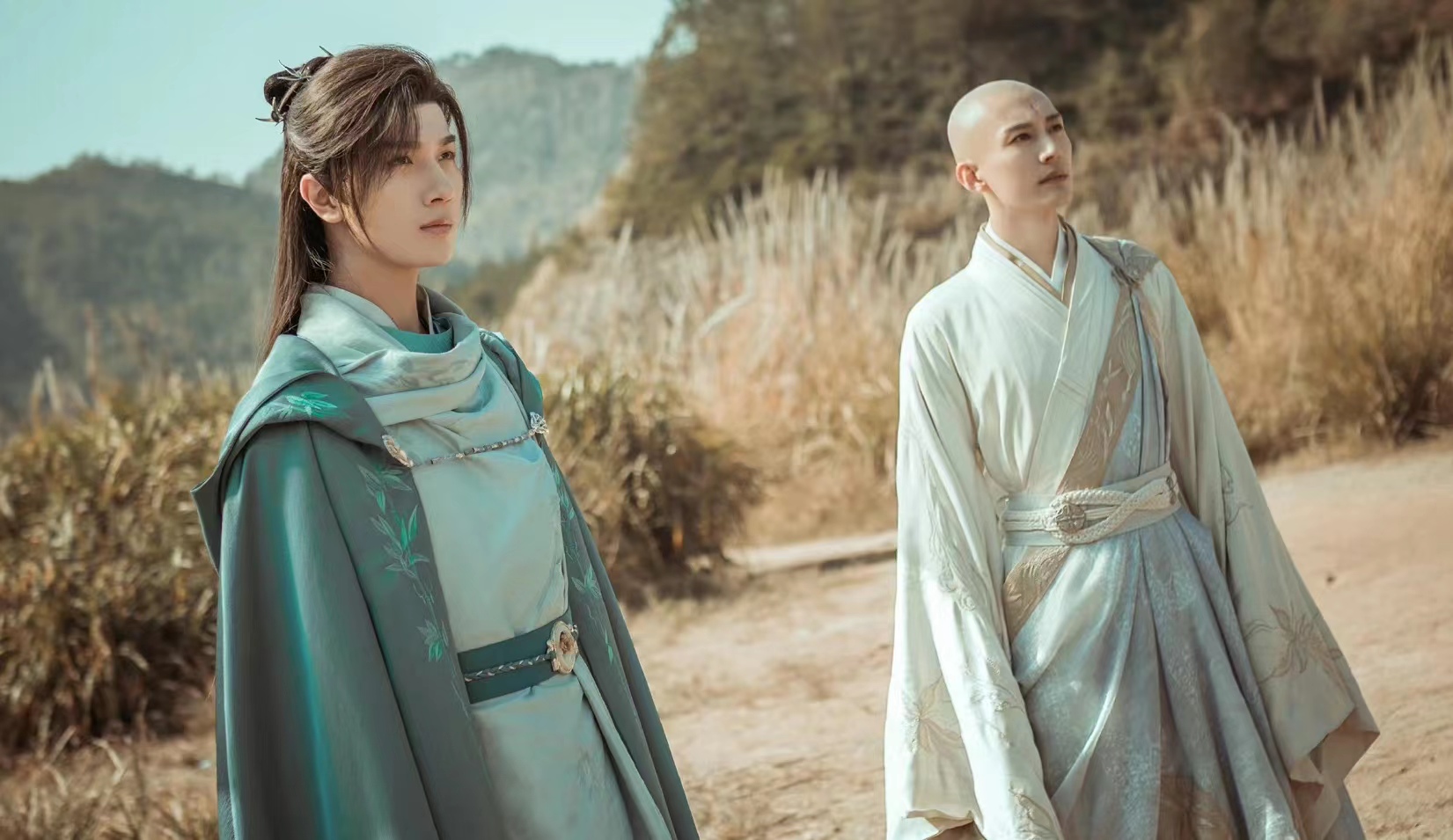 Young Song: What is the final outcome of Li Hanyi?What realm has it ...