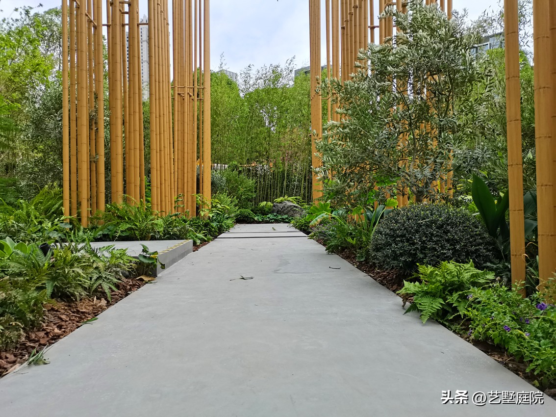 Entering the Garden Series of International Masters (3) - "Bamboo ...